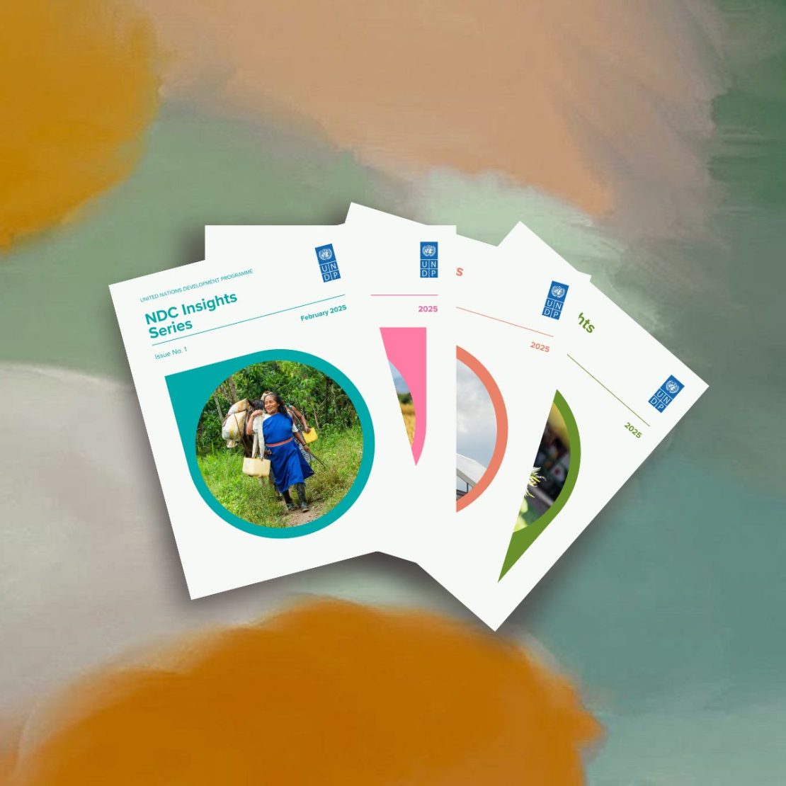 Chile's Plan of Action for Climate Change | UNDP Climate Promise